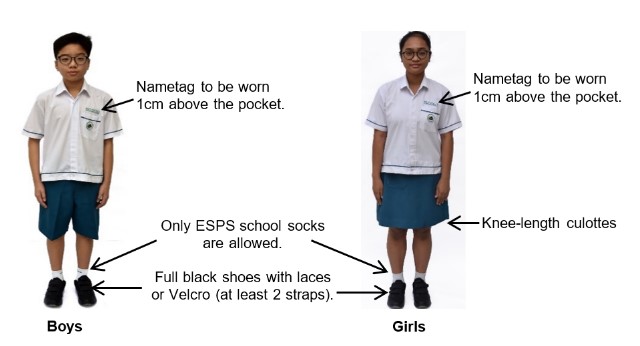 School Rules & Regulation